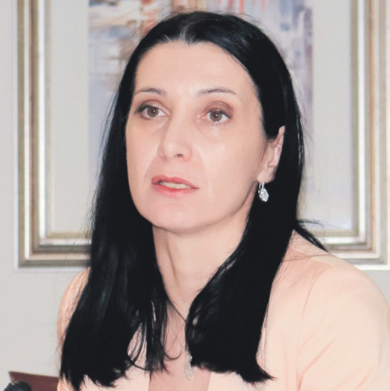 Soko napustila savjetničku poziciju u Vladi FBiH